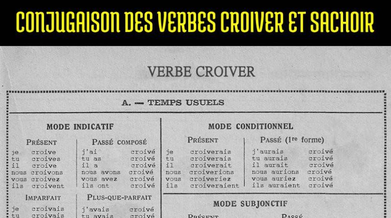 Conjugaison des verbes CROIVER et SACHOIR - Complots Faciles